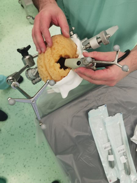 Brain Phantom for ultrasound navigated brain surgery training